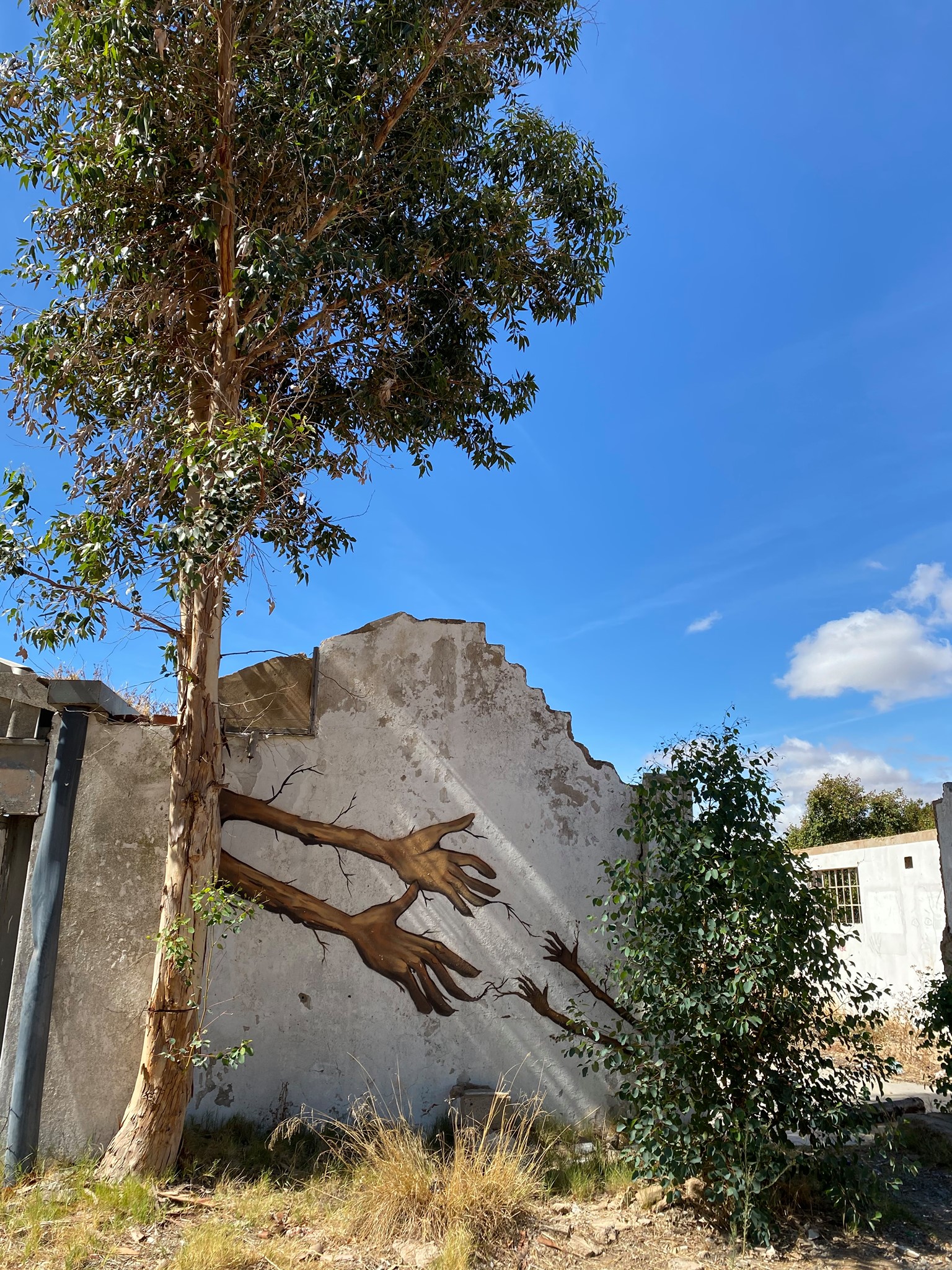 Фантазия и реалност в стенописите на Falco One - Antrakt